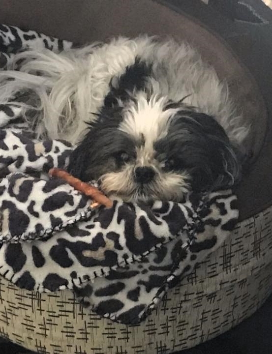 Lucy Pope - 2024 - prvereb@aol.com