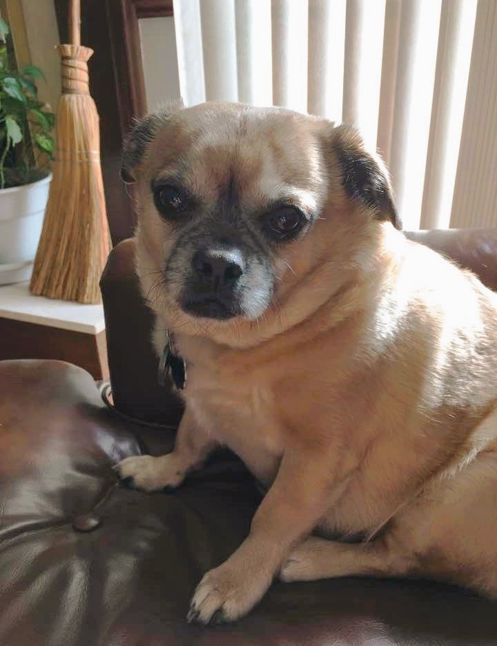 Mikey Schmidt - 2024 - prvereb@aol.com