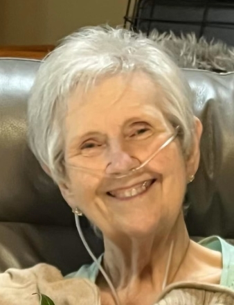 Virginia 'Ginnie' D. Johnson Obituary - 2024 - Apfel Wolfe