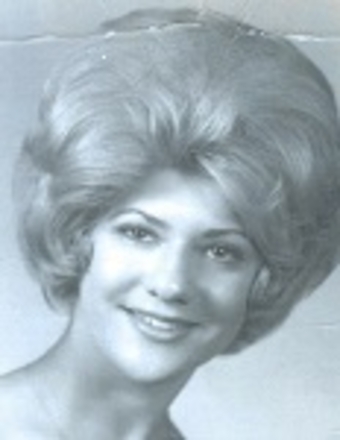 Carol Ann Sloat Obituary - 2024 - White Venuto & Morrill Funeral