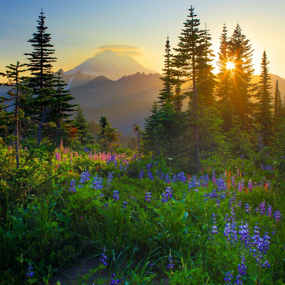 Kirk George Reddie - 2024 - Beck's Tribute Center