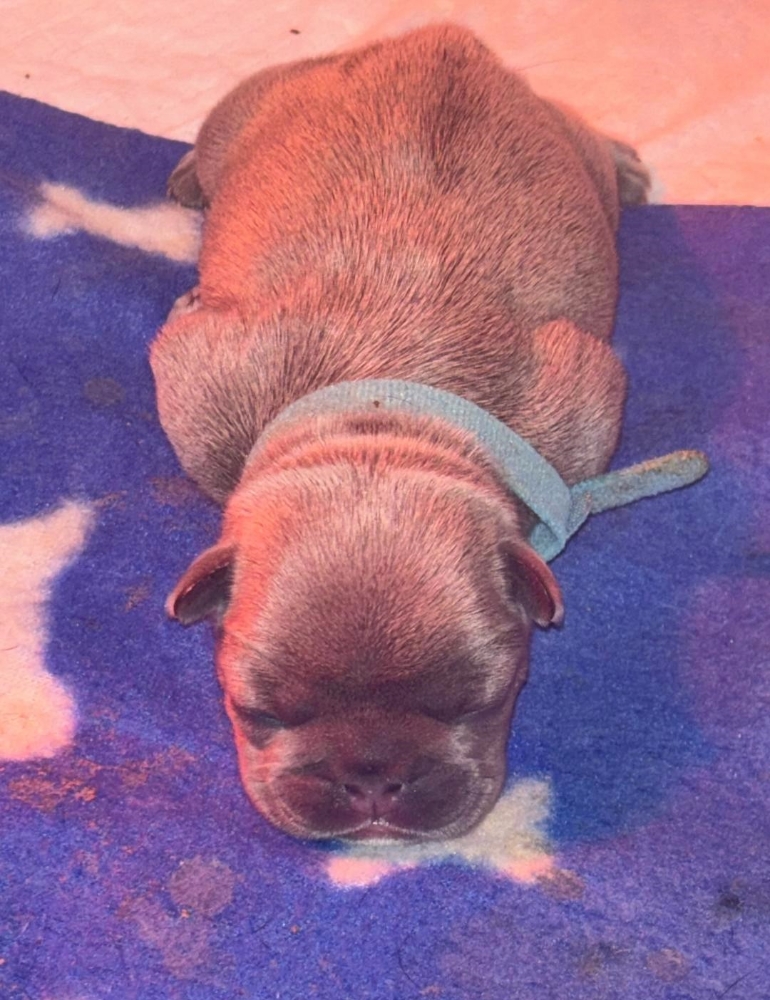Baby Blue Miller - 2024 - prvereb@aol.com