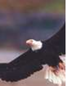 Jeremiah "Jay" J. Gruber - 2024 - Carlson-Lillemoen Funeral Home