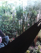 Glenda Gail Melanson - 2024 - Wilson Funeral Home