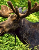 James Dennis Belden - 2024 - Yates Memorial Services