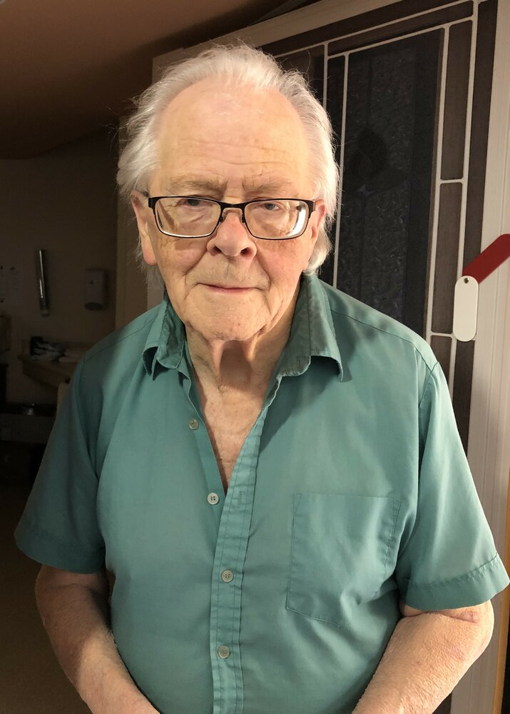 Derek Hopkins - Memories Trees