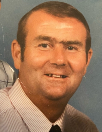 James Bolduc - Memories Trees