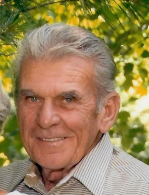 Ronald Summers - Memories Trees