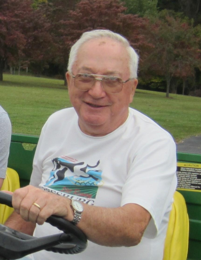 Gilbert Ashby - Memories Trees