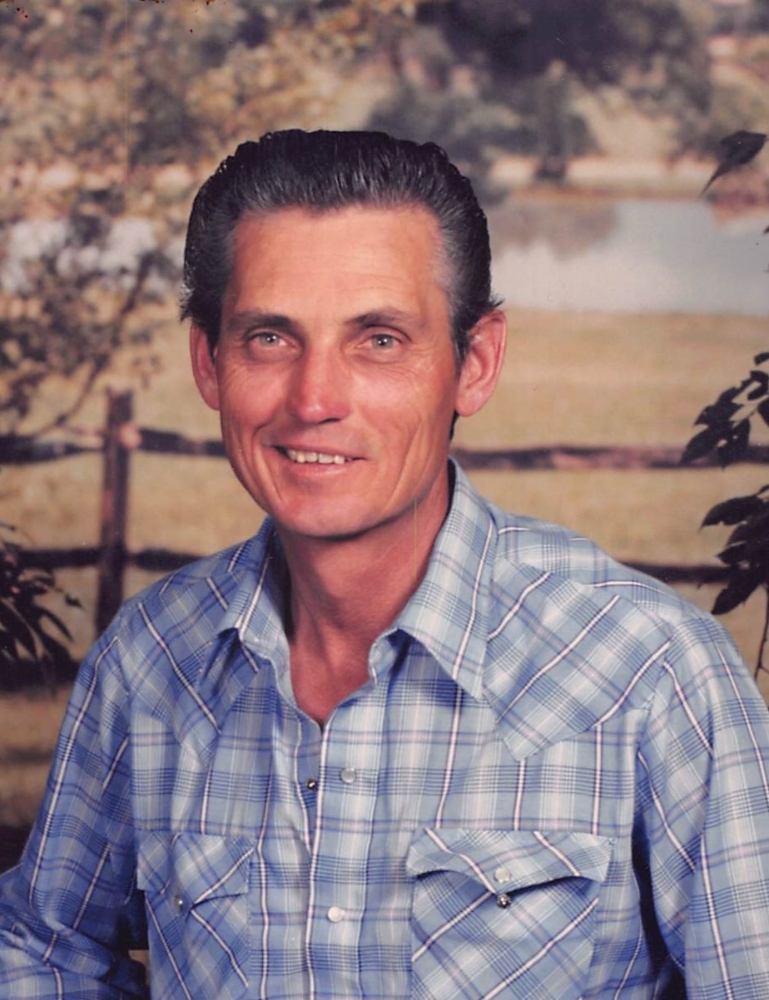 Robert Stephenson - Memories Trees