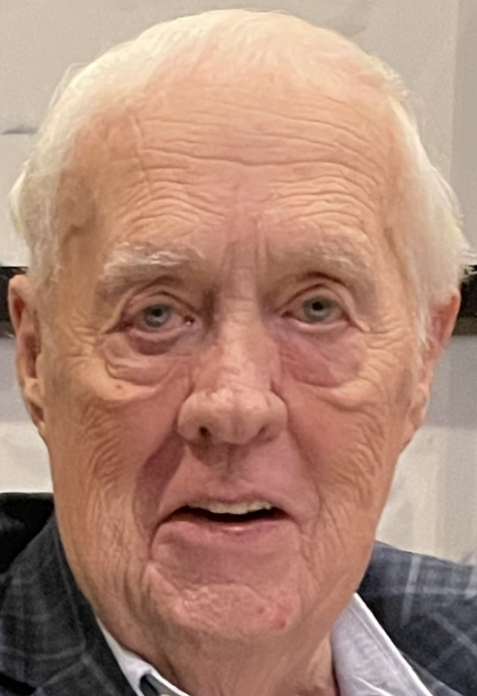 Daniel Bales - Memories Trees