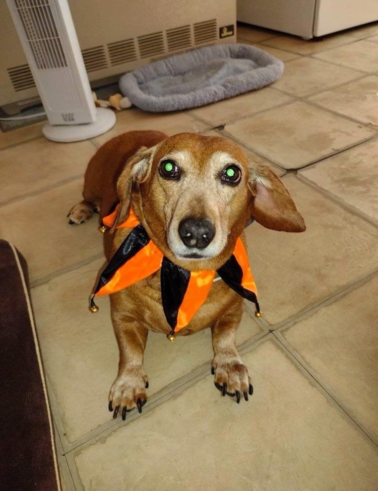 Katie Schaeffer - 2024 - prvereb@aol.com