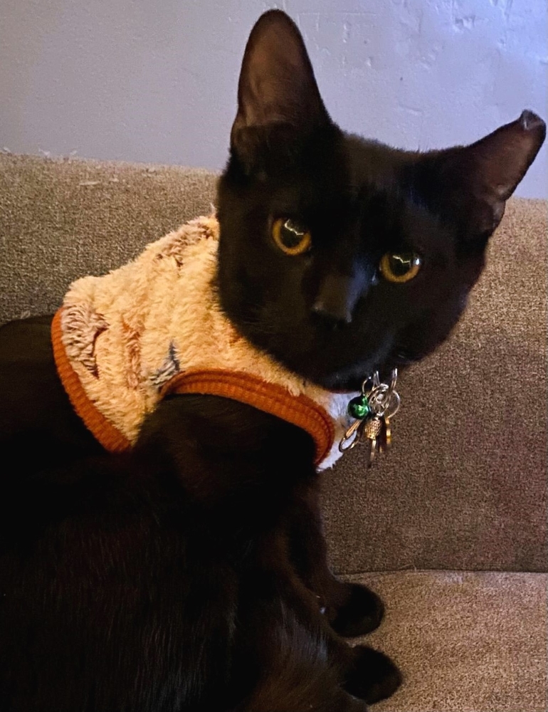 Shadoo Bennett - 2024 - prvereb@aol.com