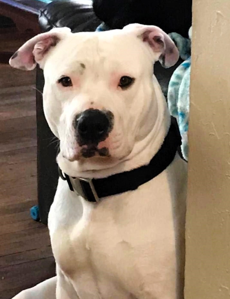 Logan Lee - 2024 - prvereb@aol.com