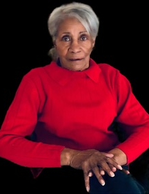 Mary Fakes - Memories Trees