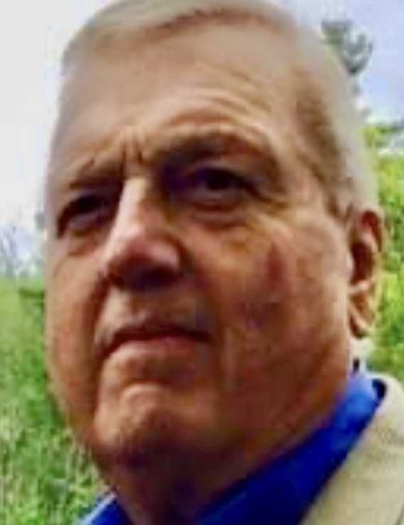 Jan Hunt - Memories Trees