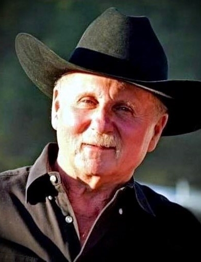 Daniel Schnell - Memories Trees