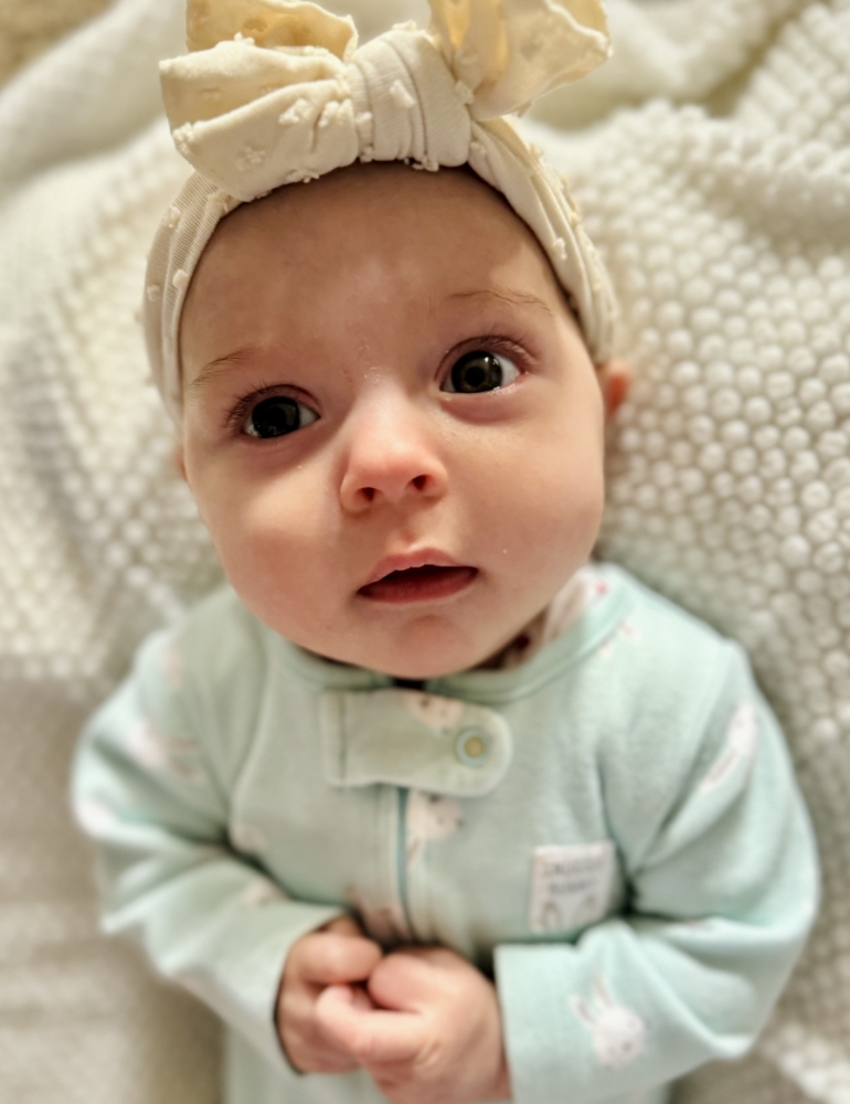 Amelia Peterson - Memories Trees