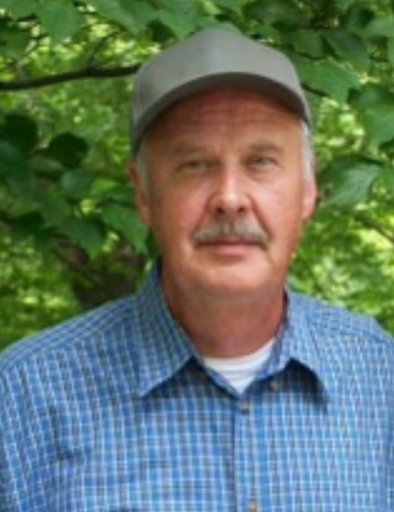 Edward Fugate - Memories Trees