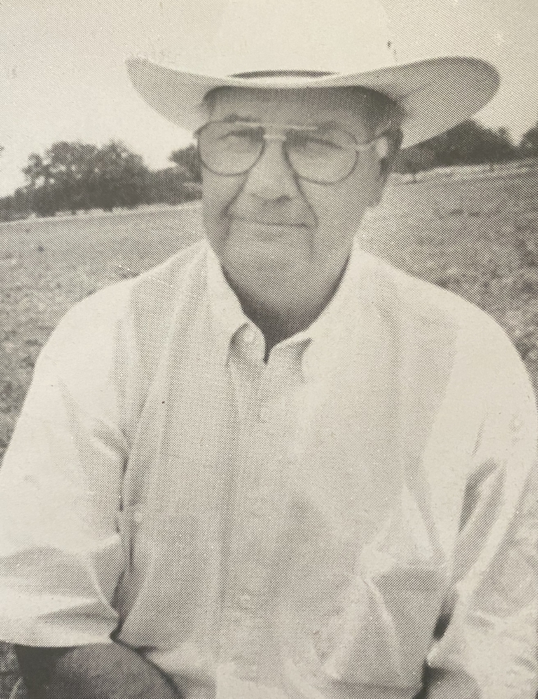 Carl Menzies - Memories Trees