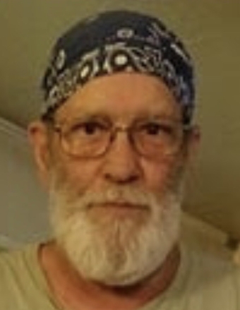 David Johnson - Memories Trees