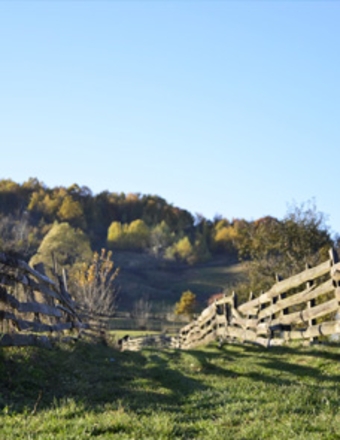 Compassionate Cremations and Funerals | Oviedo, FL