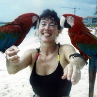 Josephine M. Simone - 2017 - Cassidy Flynn Funeral Directors