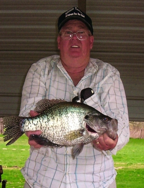 Carl Shields - Memories Trees