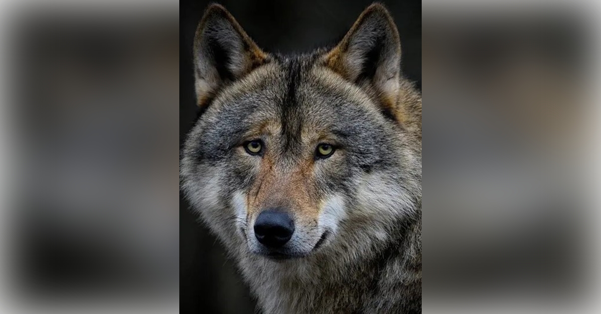 Obituary information for Shawn Michael Repinski