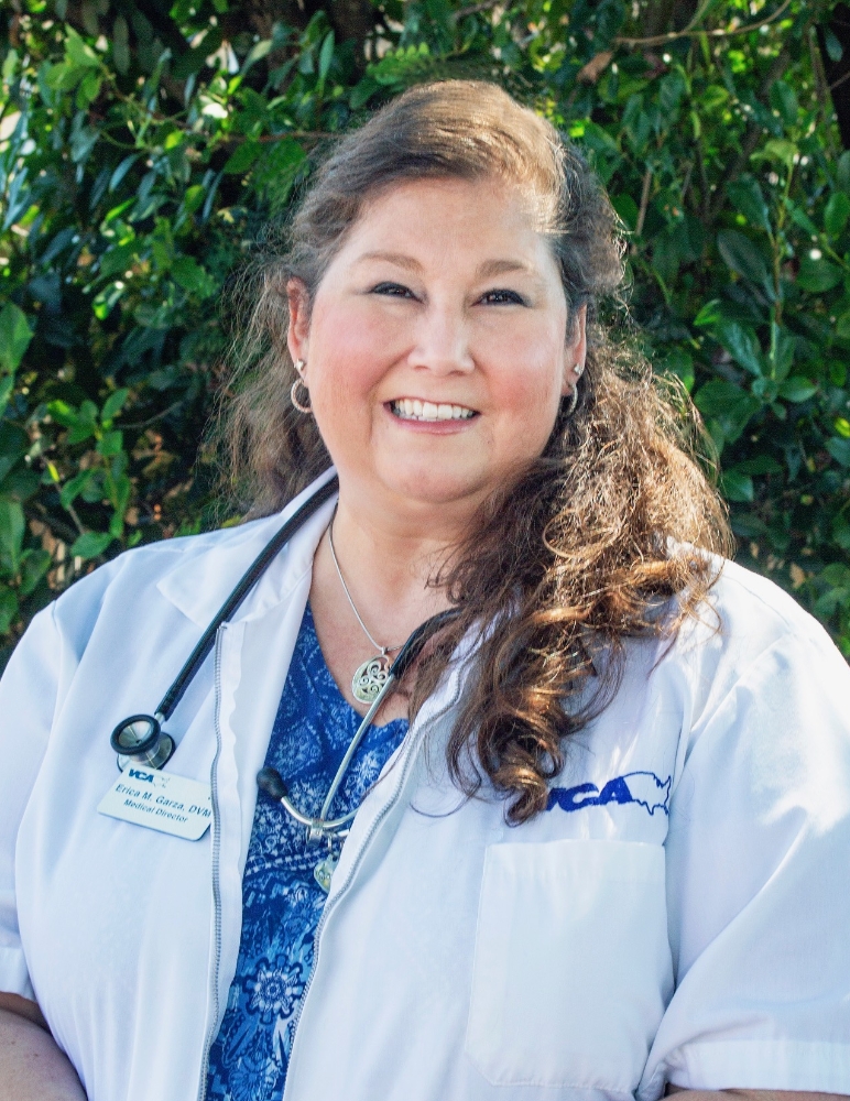 Erica Garza - Memories Trees