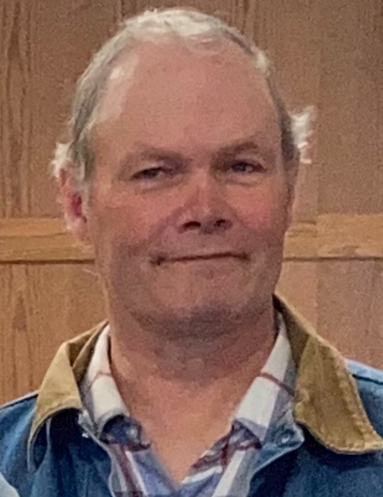 Daniel Budzinski - Memories Trees