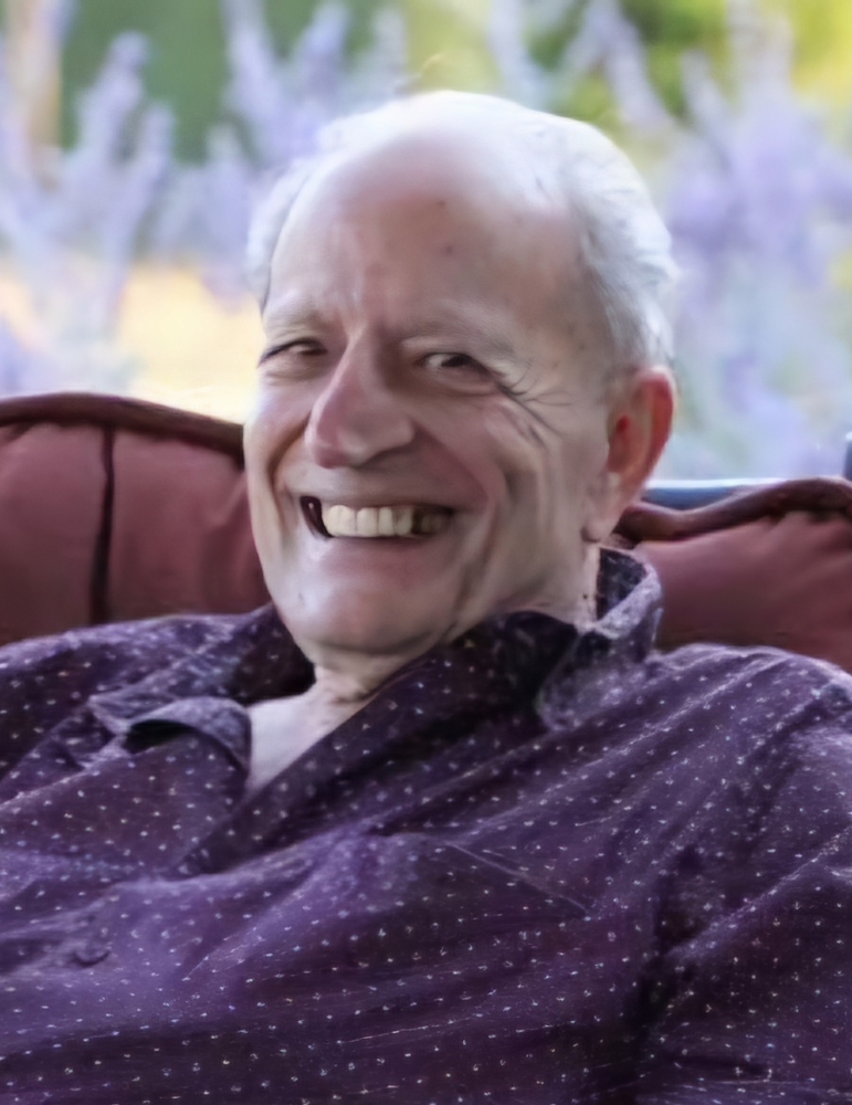 Joseph Federico - Memories Trees