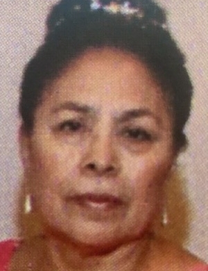 Prisca Delgado - Memories Trees