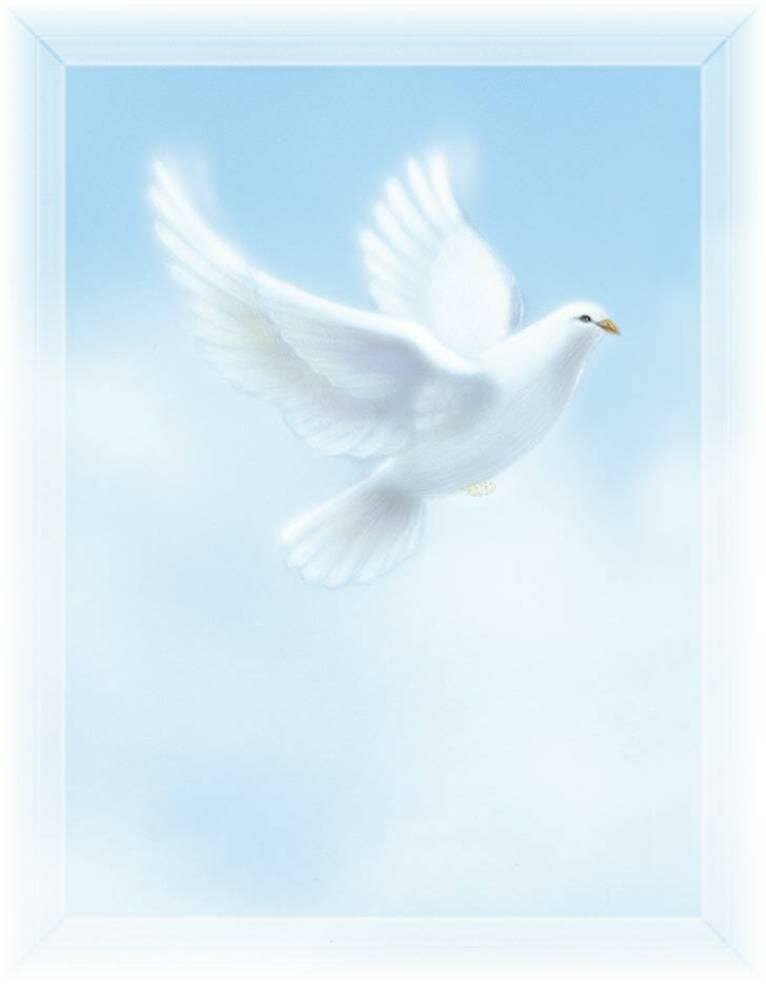 Samuel Reimer - Memories Trees