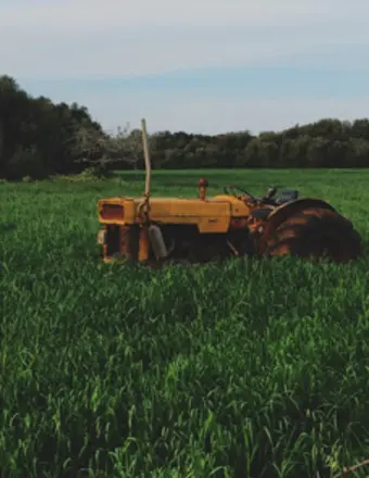 Obituary Listings | MadisonFuneralServices