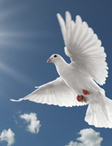 Darrell Gladden - 2018 - Julian Peeples Funeral Home