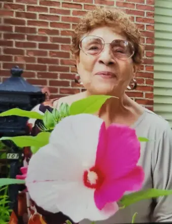 Obituary information for Violeta Rogowski