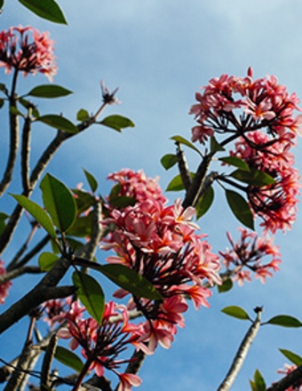 Hooper-Huddleston & Horner Funeral Home | Cookeville, Bax...