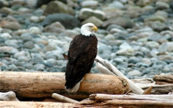 John Minto Obituary - 2024 - McComb & Wagner Family Funeral Home and ...