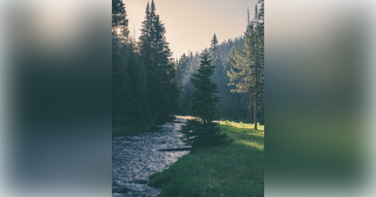 Obituary information for David Alan Richardson