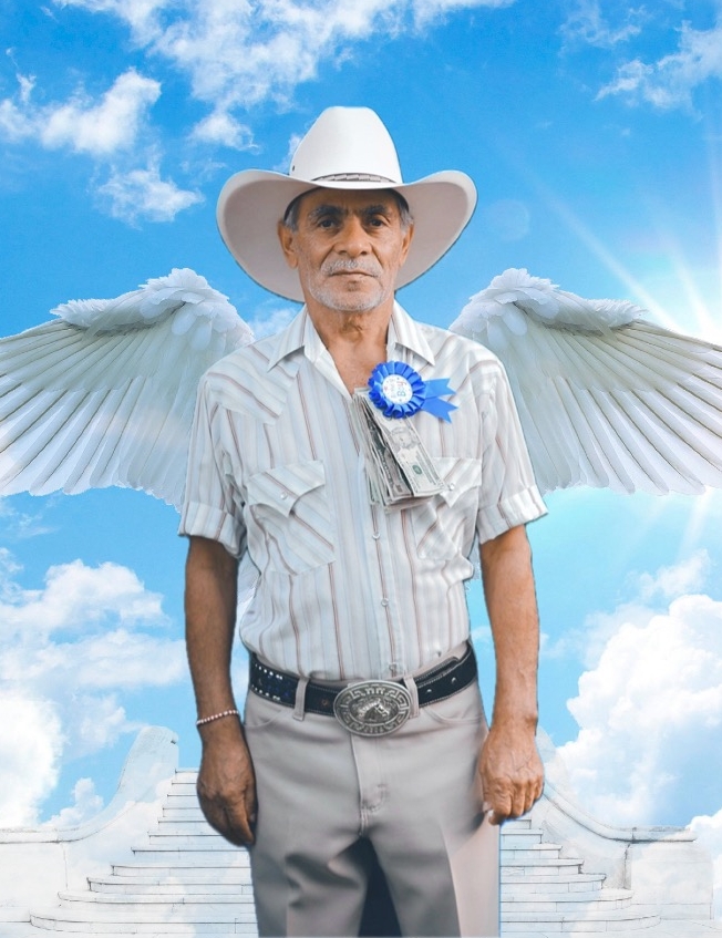 Felipe Valadez - Memories Trees