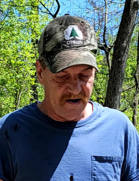 Darryl Reed - Memories Trees