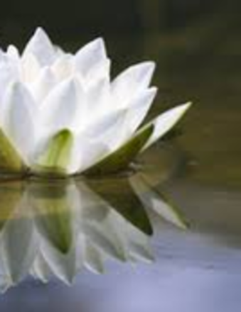 Carolyn Sue Prusha Obituary - 2024 - Cremeens Funeral Homes, Inc.