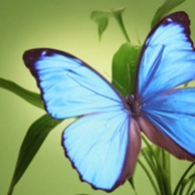 Margaret Reed Obituary - 2019 - Baker-Stevens-Parramore Funeral Home