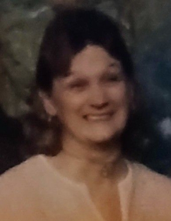 Carolyn Sue Lucas Obituary - 2024 - James ODonnell Funeral Home