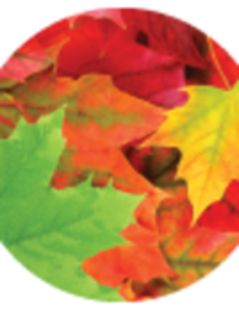 Peggy Ann Whaley Obituary - 2024 - Hutchings Funeral Chapel