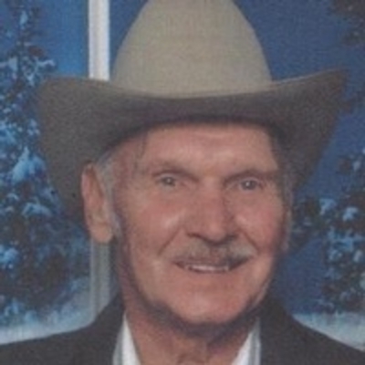 Boyd James Leavitt Obituary - 2013 - Hawker Funeral Home