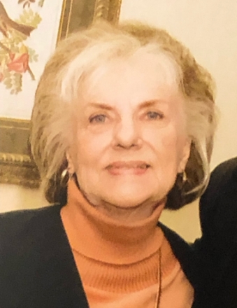 Amy Rose (Pavlock) DeSimine Obituary - 2024 - R. L. Williams, Jr.