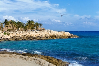 Stephanie Sill Obituary - 2024 - Cremation Society of Indiana