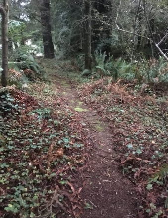 April Ann Quigley Obituary - 2024 - Wiers Mortuary Chapel